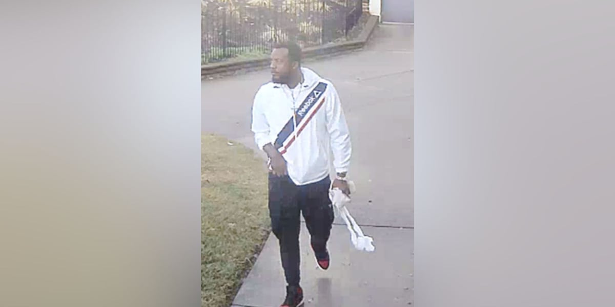 ‘armed And Dangerous Suspect In Custody After Deadly Knoxville